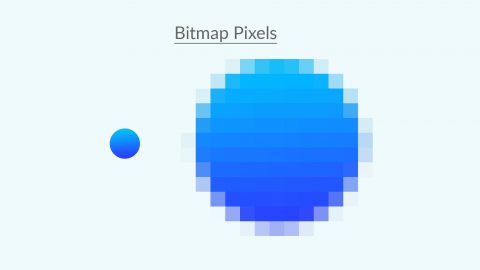 Vector and Bitmap images - What is the difference? - Ipswich