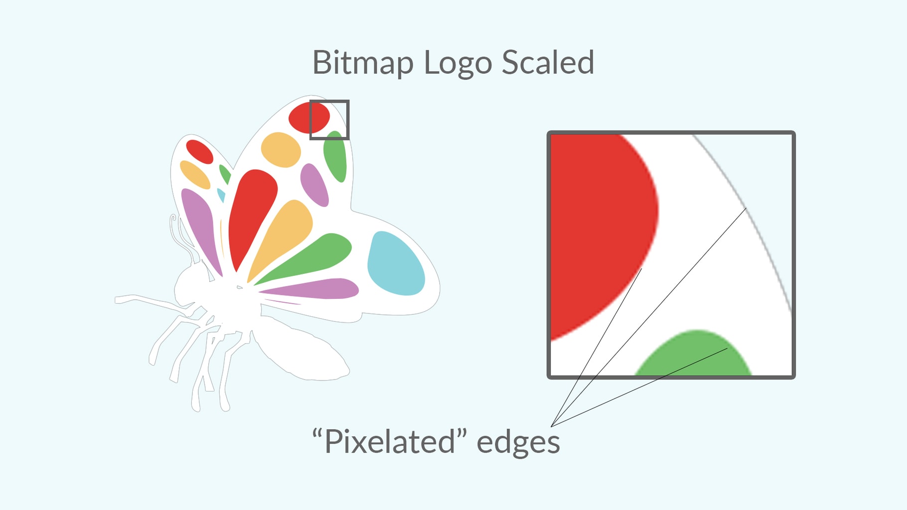 Vector and Bitmap images - What is the difference? - Ipswich