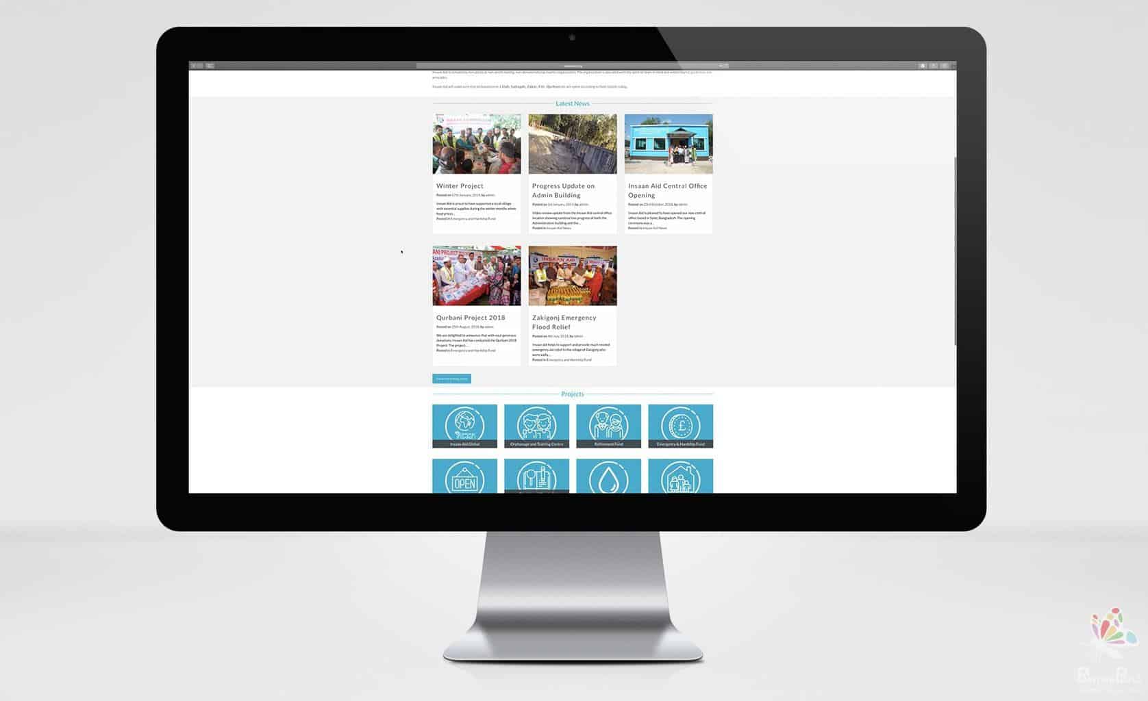 Insaan Aid Website Design and Logo Design - Painting Pixels | Full ...